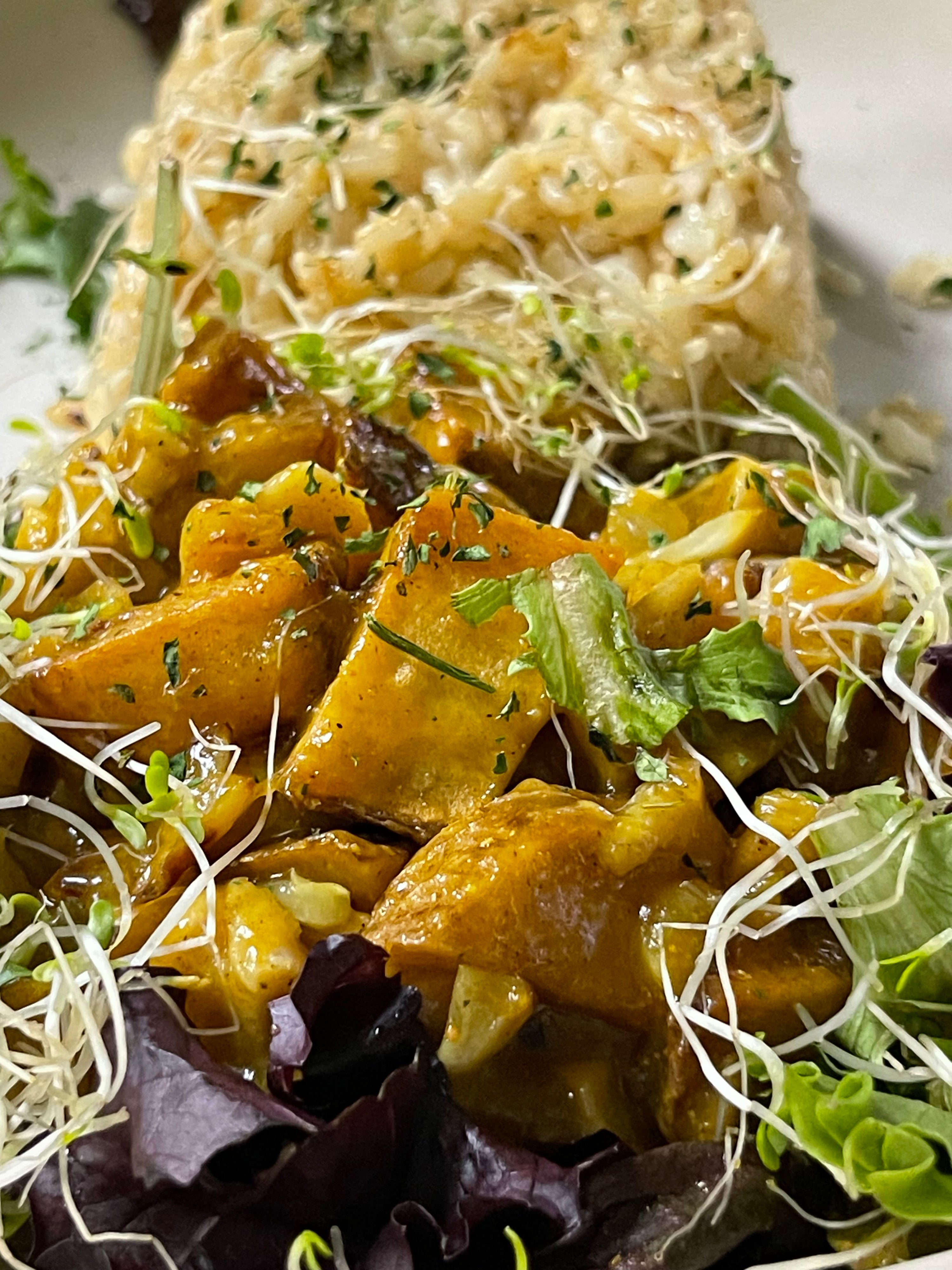 Collections – The Reizod Vegan Experience